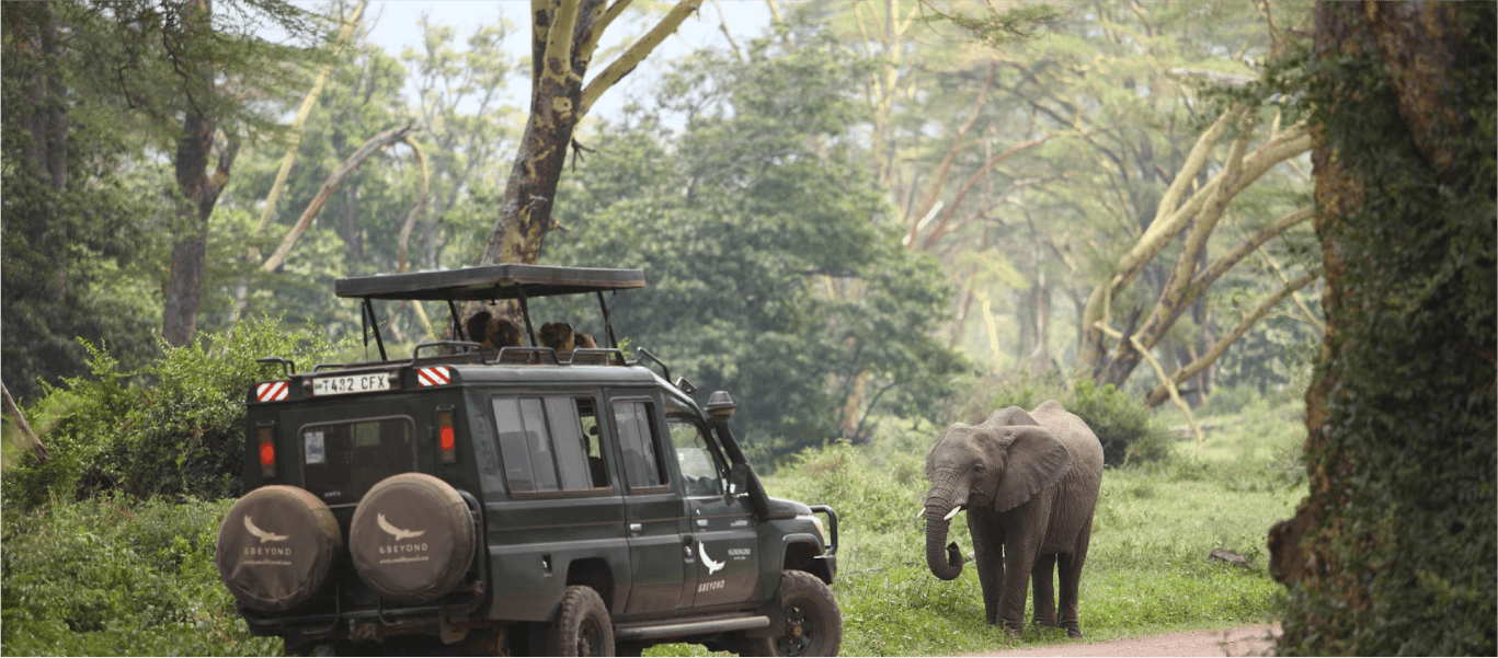 A Phenomenon in the African Travel Industry - Ranger Buck Safaris