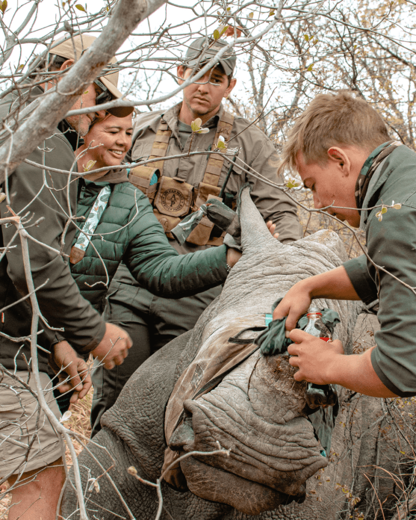 Ranger Buck Safaris - Your first step to your dream Luxury Safari.